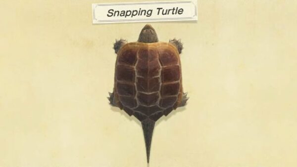 April fish: Where to get snapping turtle in Animal Crossing New ...