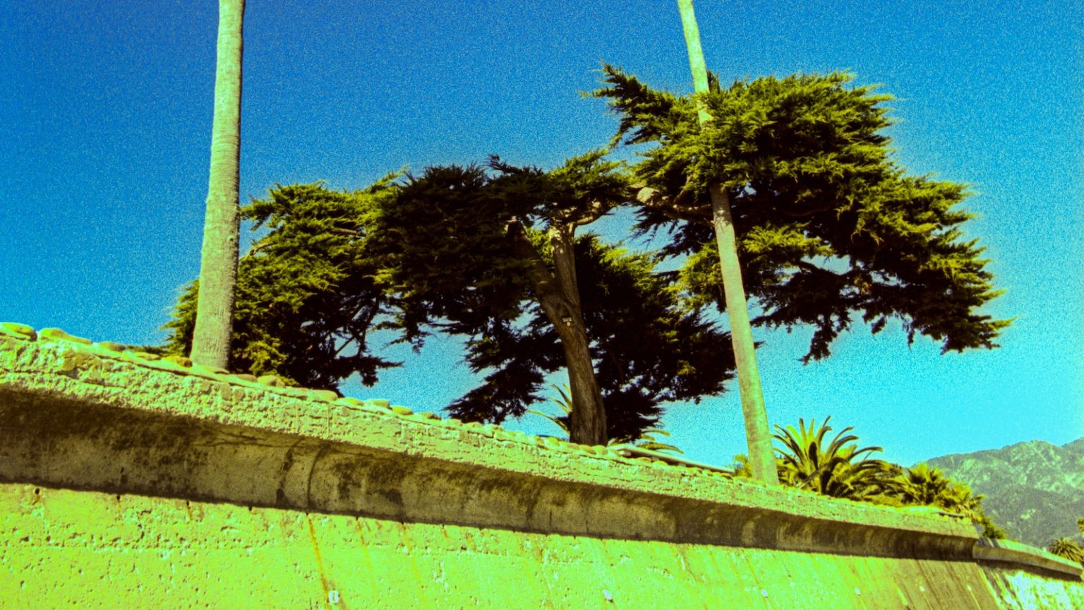 Alison Hammond’s very luxurious Dubai trip in pictures as she stuns in ...