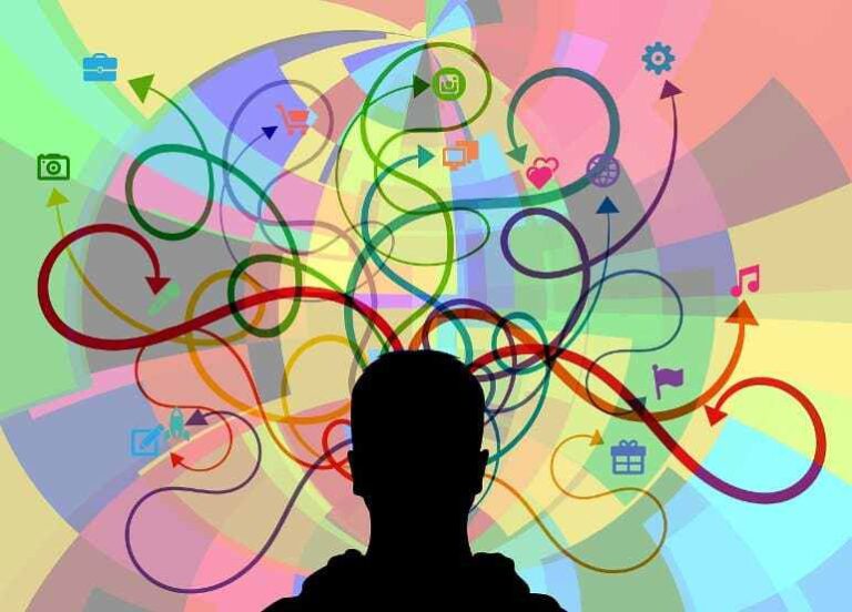 How does the brain make choices? — Indian Monitor