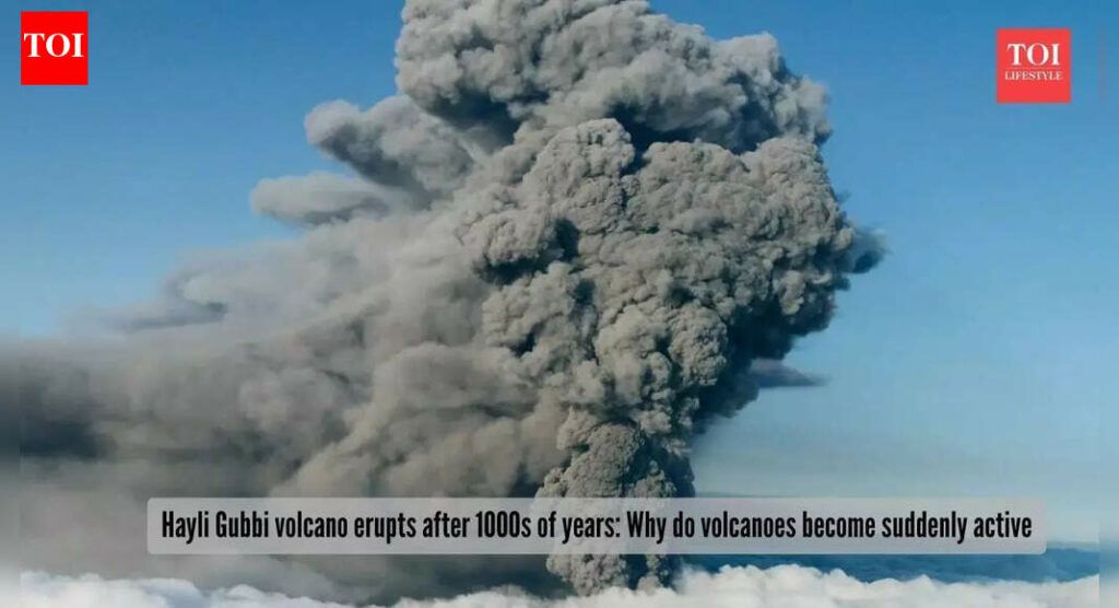 Hayli Gubbi volcano erupts in Ethiopia after 12000 years: How does a ...