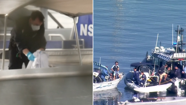 Sydney father planned murder-suicide death of six-year-old daughter on ...